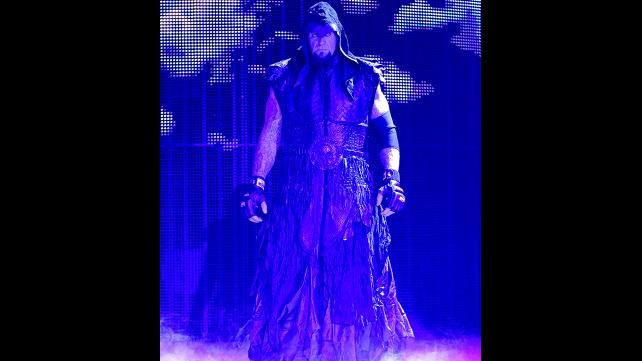 24 February 2014: RAW digitals – UNDERTAKER!! | The Brothers of Destruction