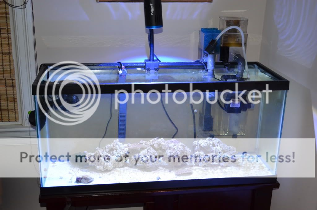 Kessil a150w thoughts? | Reef2Reef